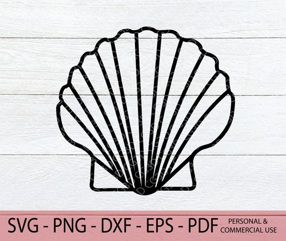 Seashell SVG Seashell Outline SVG Ocean Shell Png Beach | Etsy