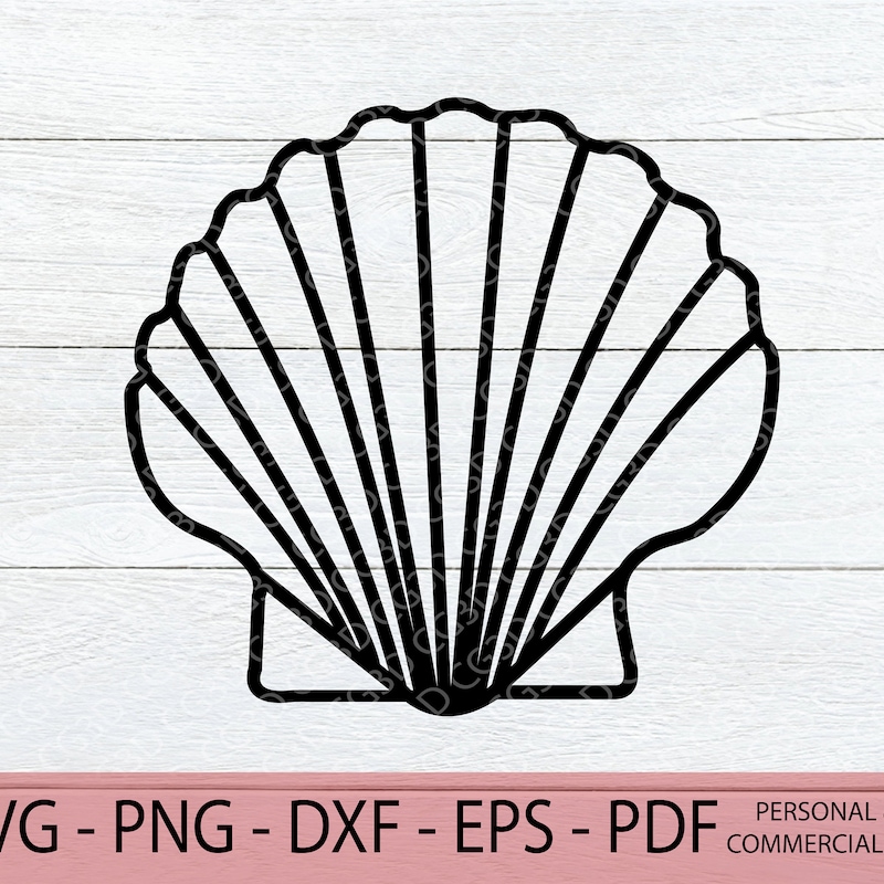 Seashells Svg - Etsy