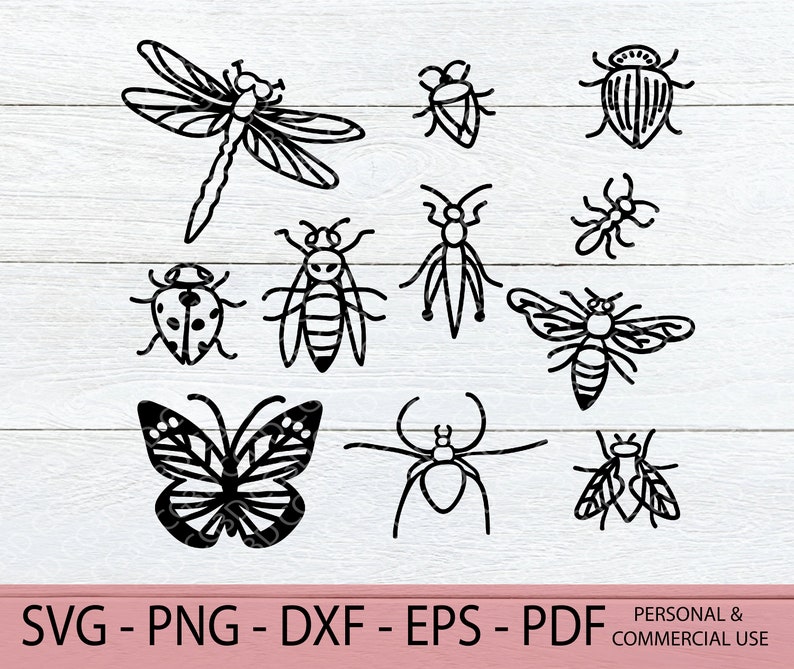 Insect Svg Files Bundle Bug Clipart Layered Insect Cut | Etsy