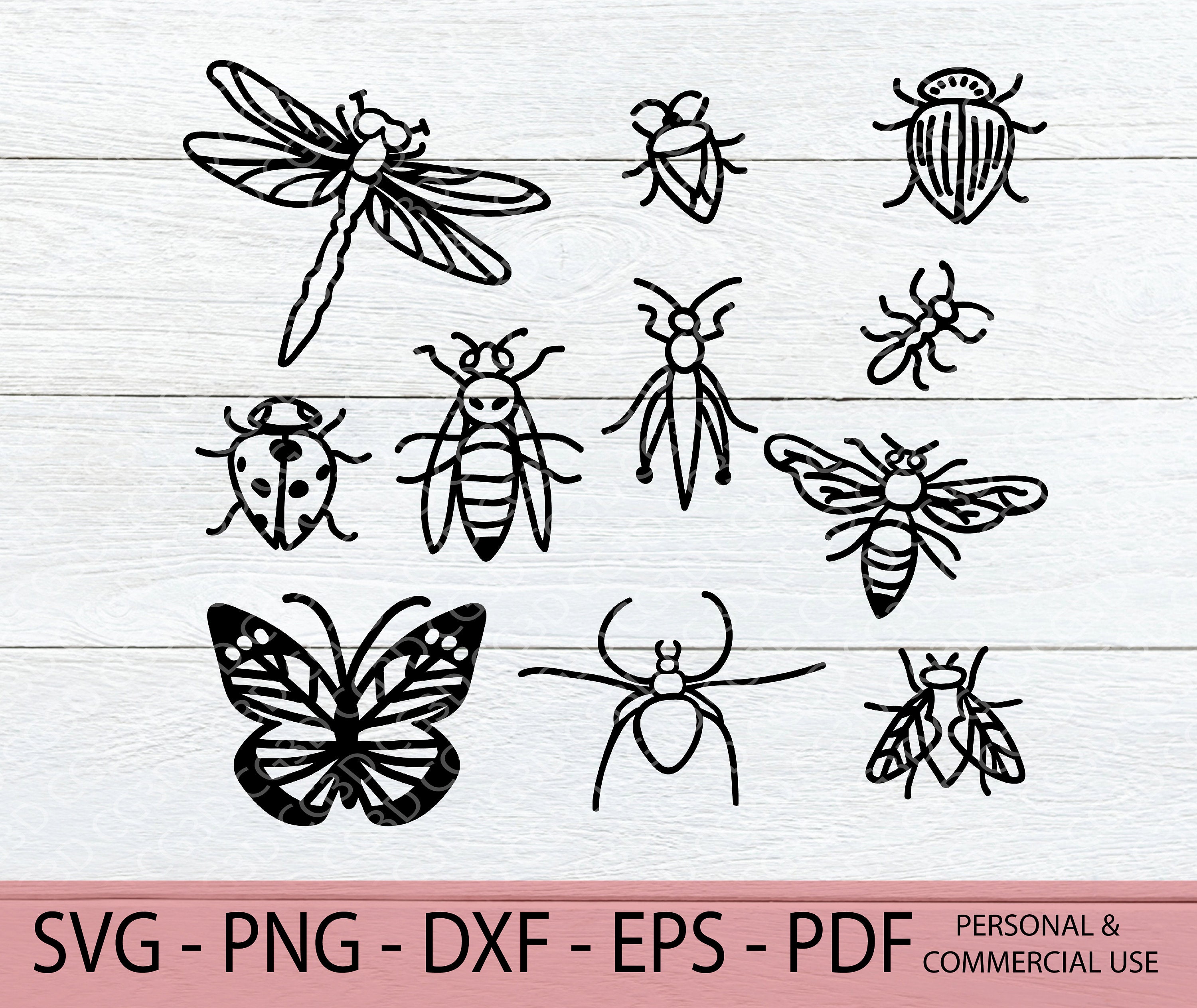 Insect Svg Files Bundle Bug Clipart Layered Insect Cut - Etsy