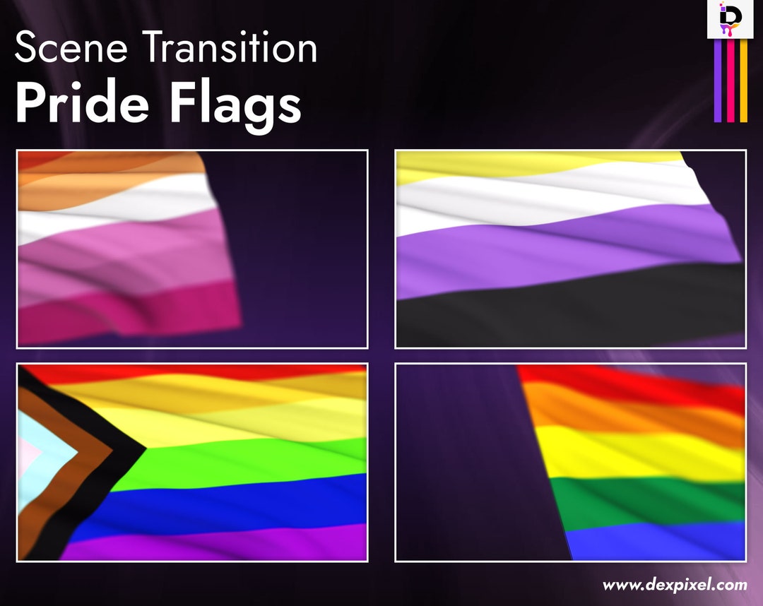 Pack of 10 Pride Rainbow Flag Stream Transitions. Twitch Pride Stinger ...