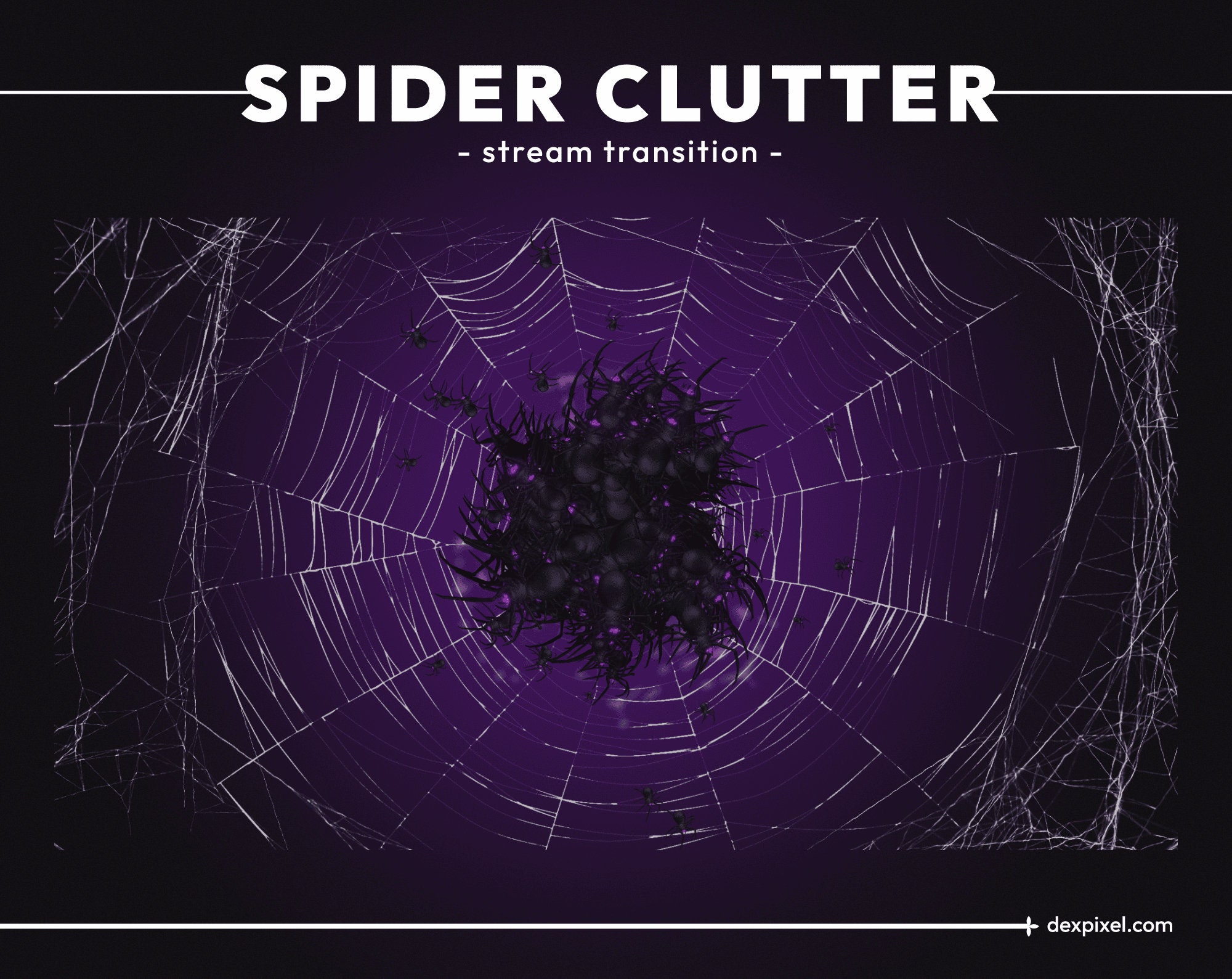 Spiders Stream Transition | Halloween Purple Eyes Spider | Scary Horror ...
