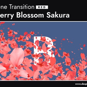 Red Sakura Cherry Blossom Transition. OBS Stinger Animated - Etsy