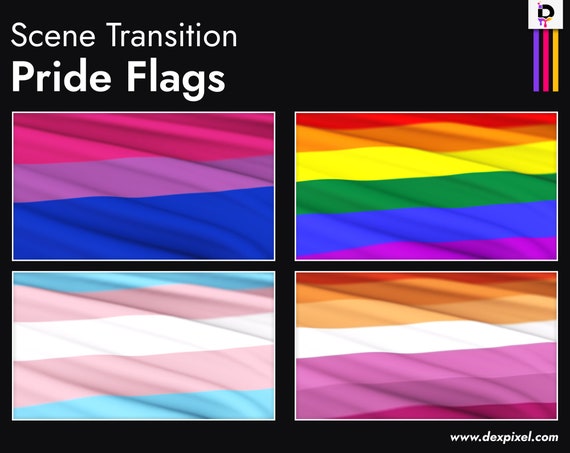 Pack of 10 Pride Rainbow Flag Stream Transitions. Twitch Pride - Etsy