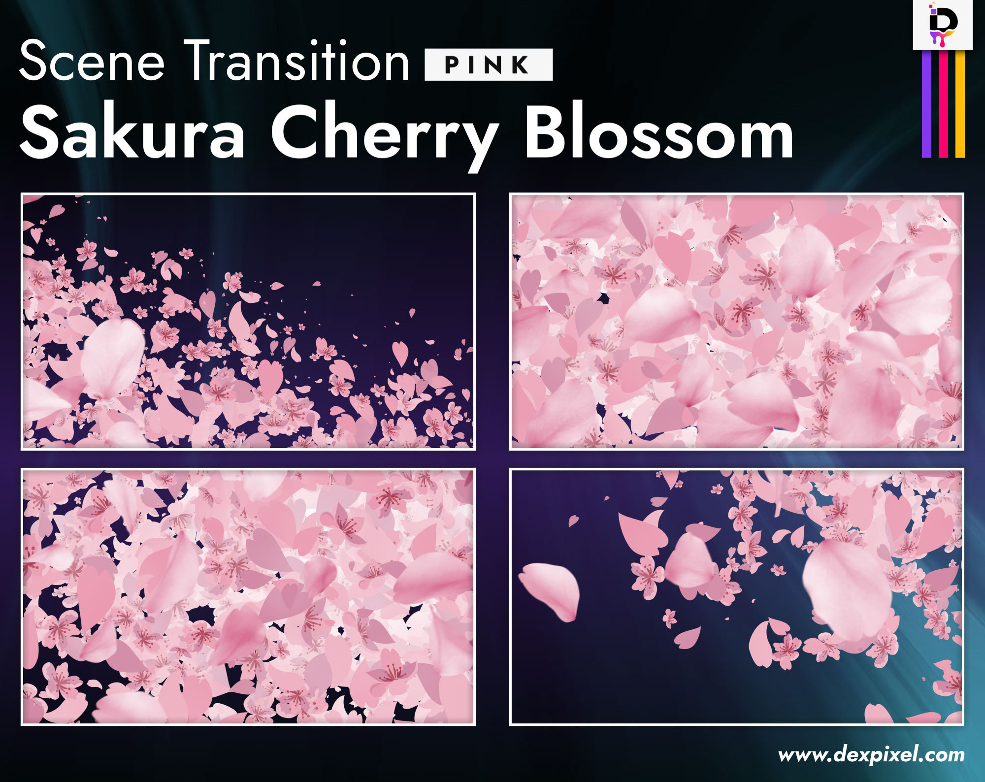 Pink Sakura Cherry Blossom Transition. OBS Stinger Animated - Etsy