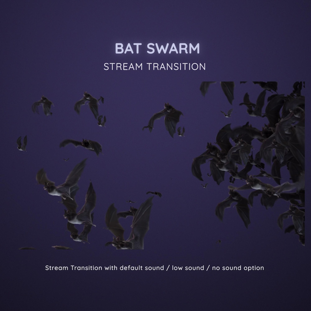 Bat Swarm Scarry Stream Switch Transition. Halloween Flying Bats Horror ...