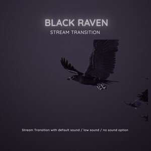 Black Raven Stream Transition Halloween Witch Transition Flying Ravens ...