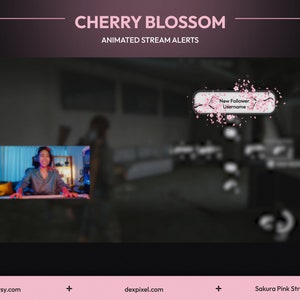 Pink Sakura Cherry Blossom Animated Stream Alerts | Twitch Animated ...