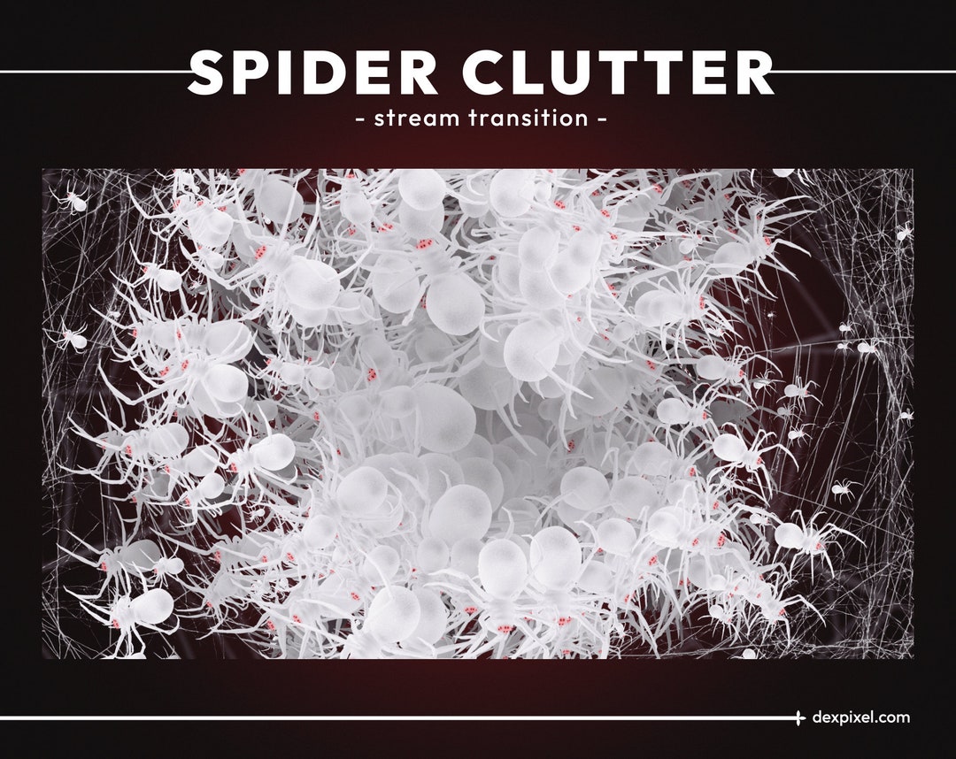 White Spiders Stream Transition | Halloween Red Eyes Spider Scary ...