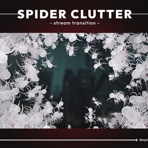 White Spiders Stream Transition | Halloween Red Eyes Spider Scary ...