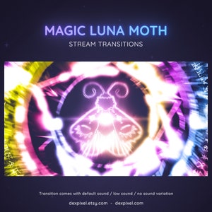 Rainbow Luna Moth Stream Transition | Magic Seal Animation - Etsy