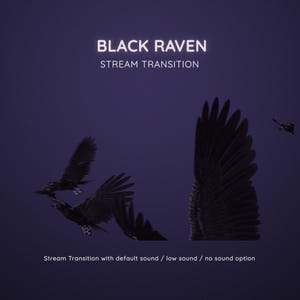 Black Raven Stream Transition | Halloween Crow Transition | Flying ...