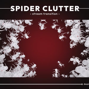 White Spiders Stream Transition | Halloween Red Eyes Spider Scary ...