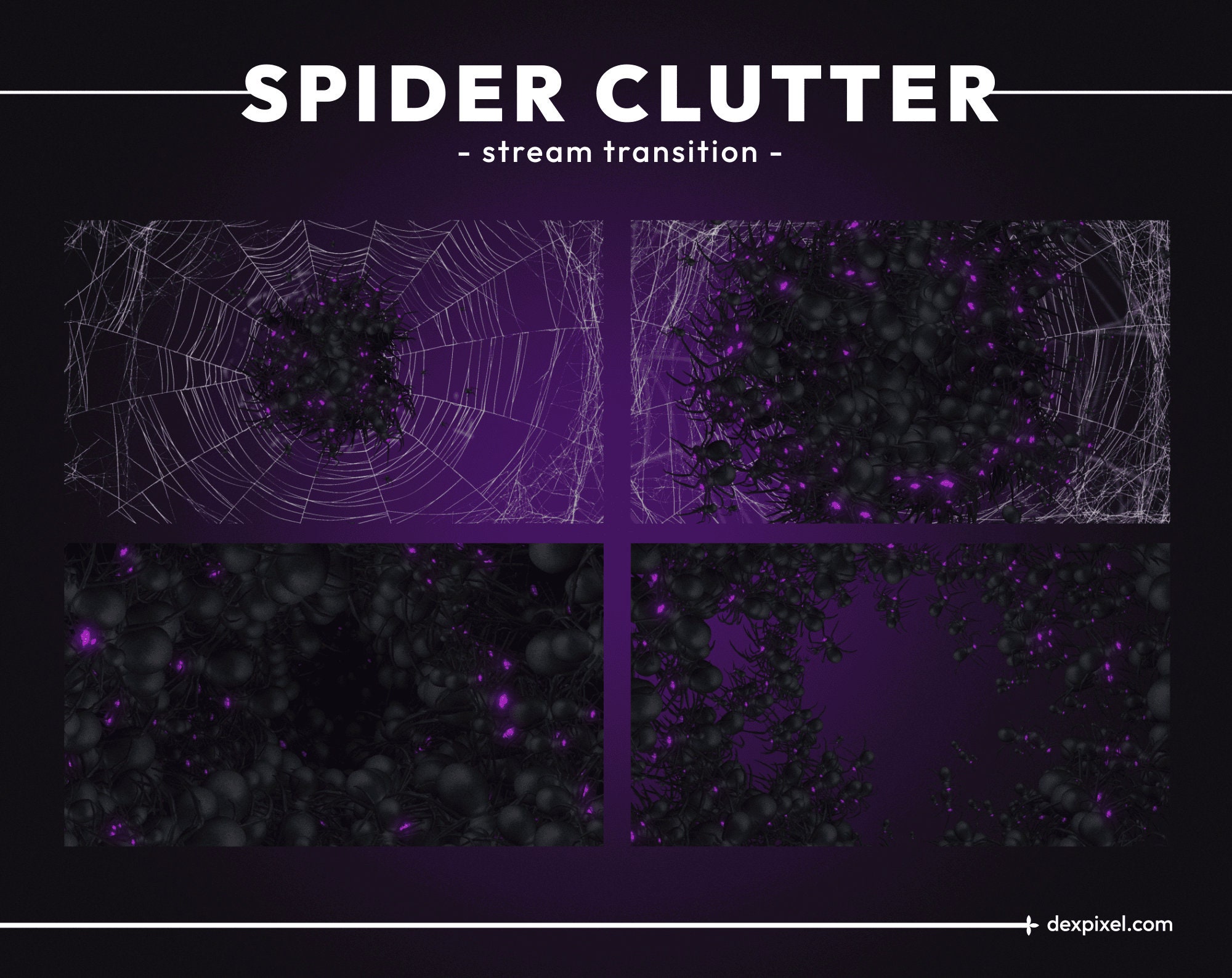 Spiders Stream Transition | Halloween Purple Eyes Spider | Scary Horror ...