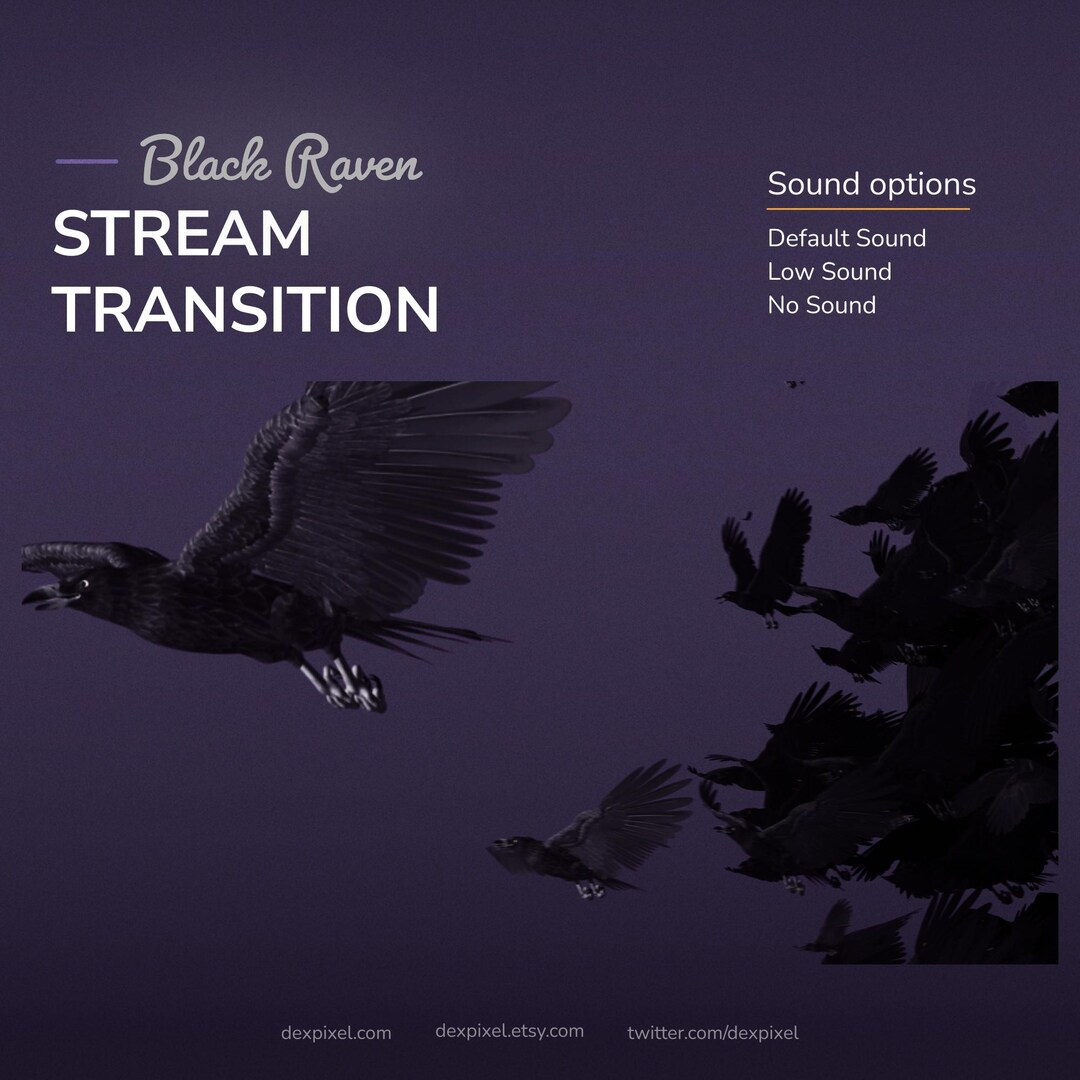 Black Raven Stream Transition | Halloween Crow Transition | Flying ...
