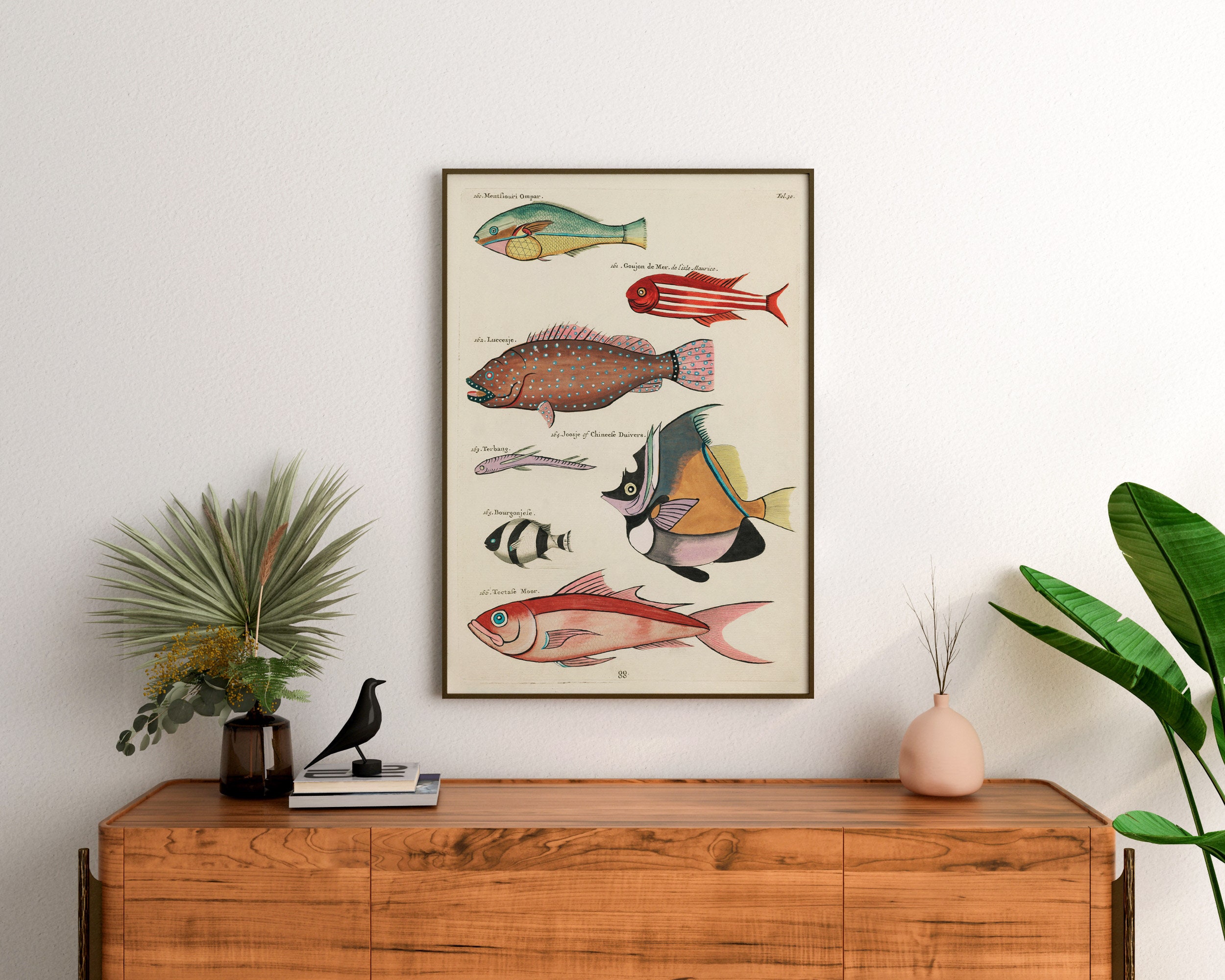 Sea Life Fine Art Print Marine Life Poster Vintage Fish - Etsy