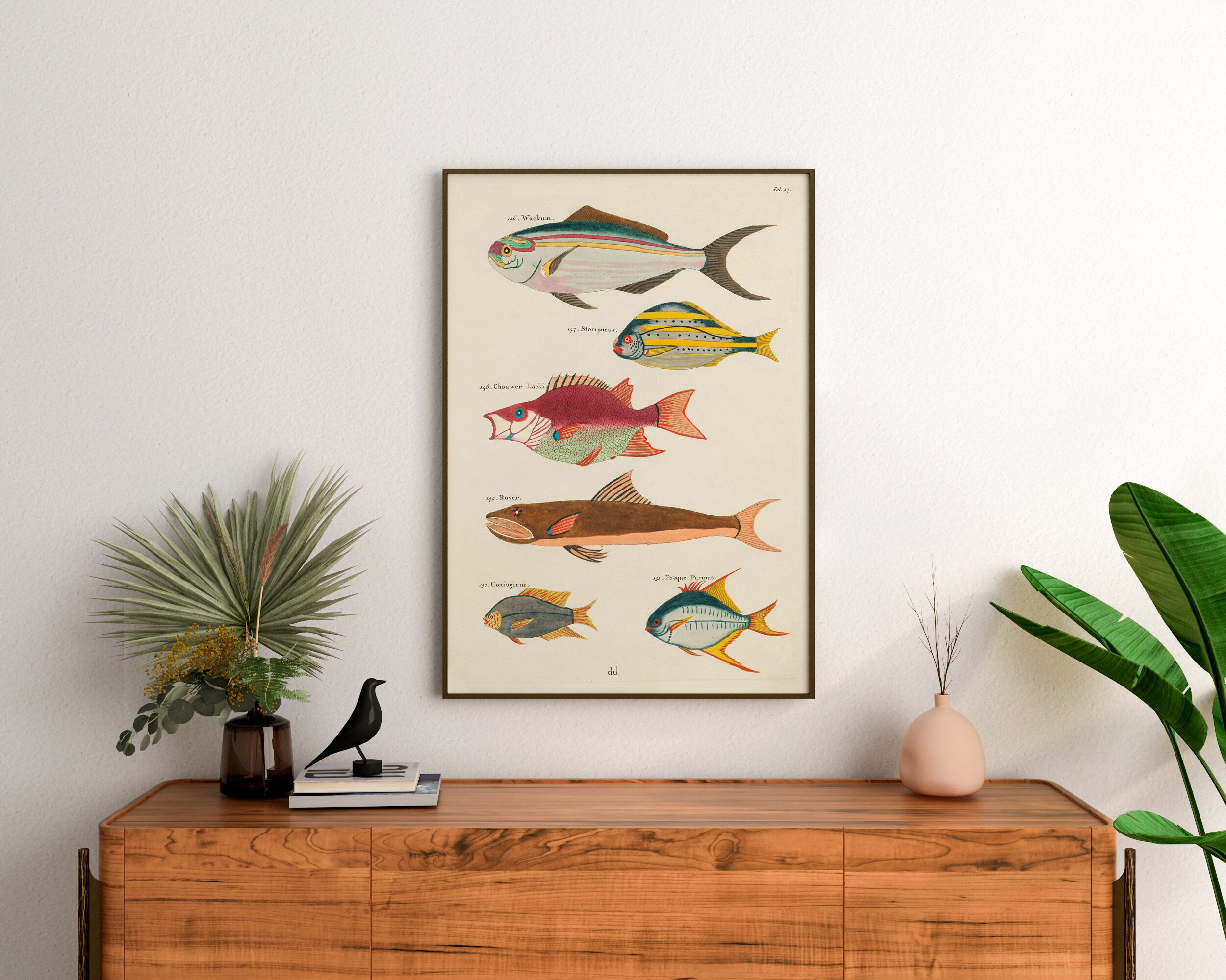 Sea Life Fine Art Print Marine Life Poster Vintage Fish - Etsy