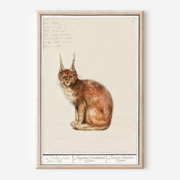 Wild Cat Print - Etsy