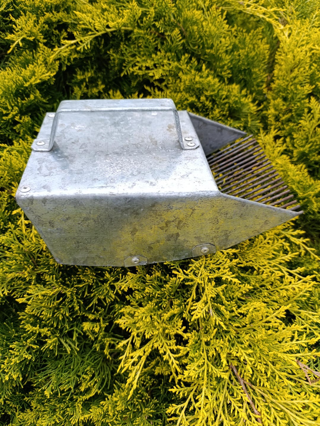 Rake Hand for Picking Berries and Flowers Tool Metal Rural Picker ...