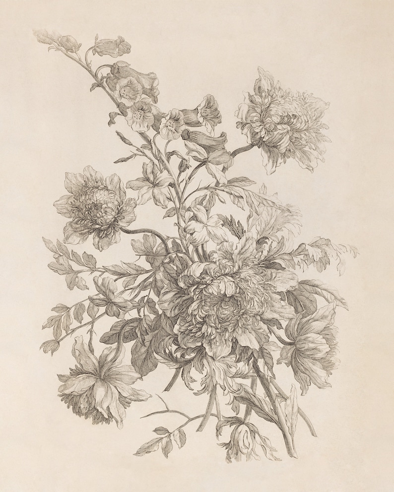 Antique Flower Bouquet I Wall Art Peony Sketch I Botanical Drawing ...