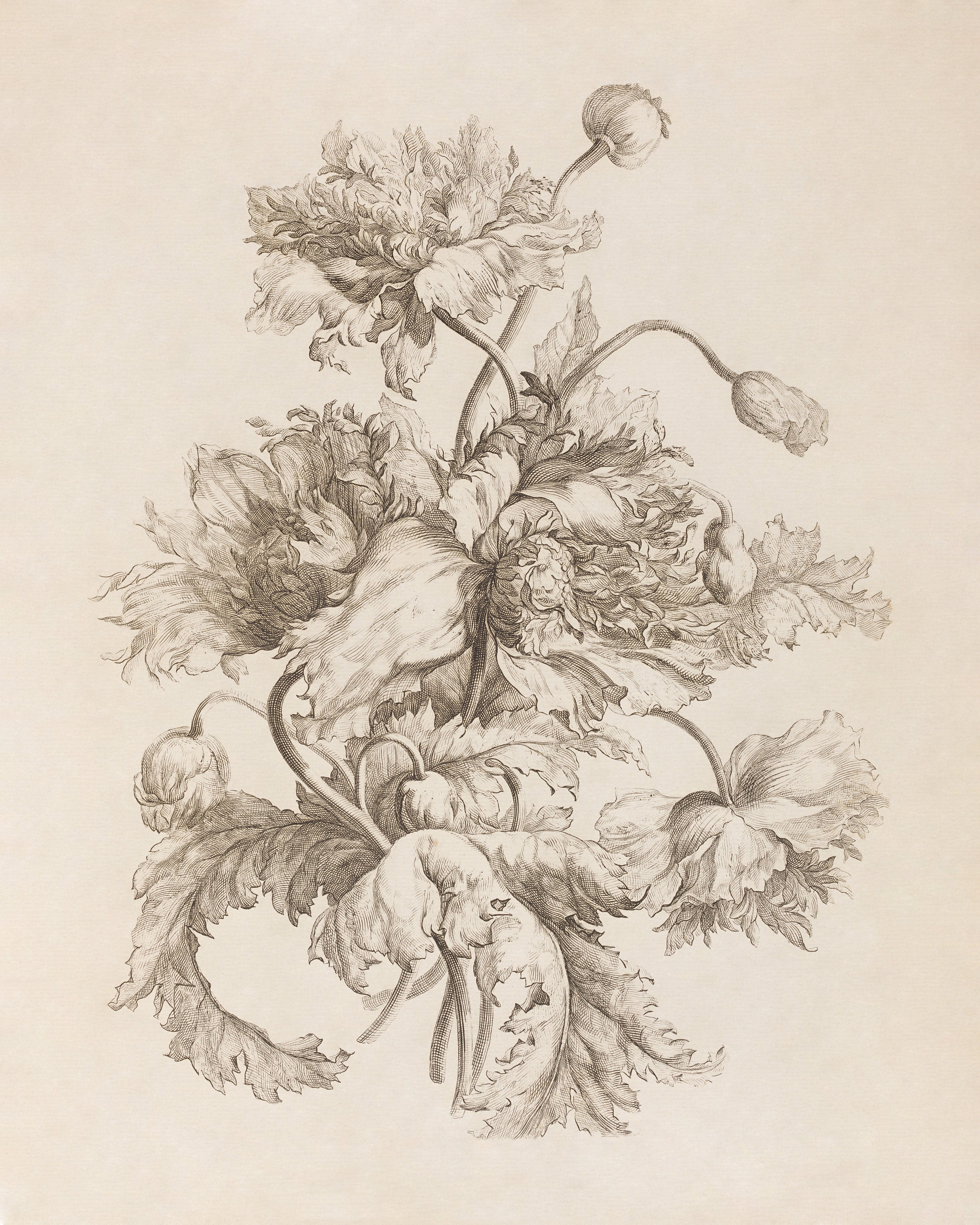 Antique Flower Bouquet I Wall Art | Sketch Botanical Drawing | Digital ...