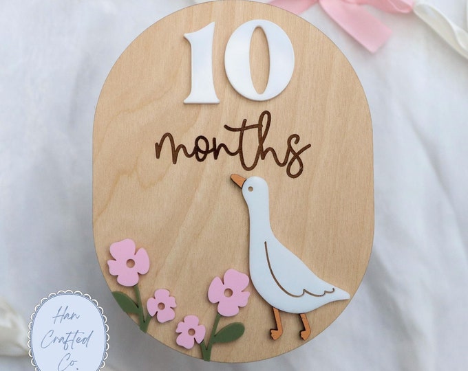 Baby Monthly Milestone Newborn Name Sign Baby Shower Month Gift Birth ...
