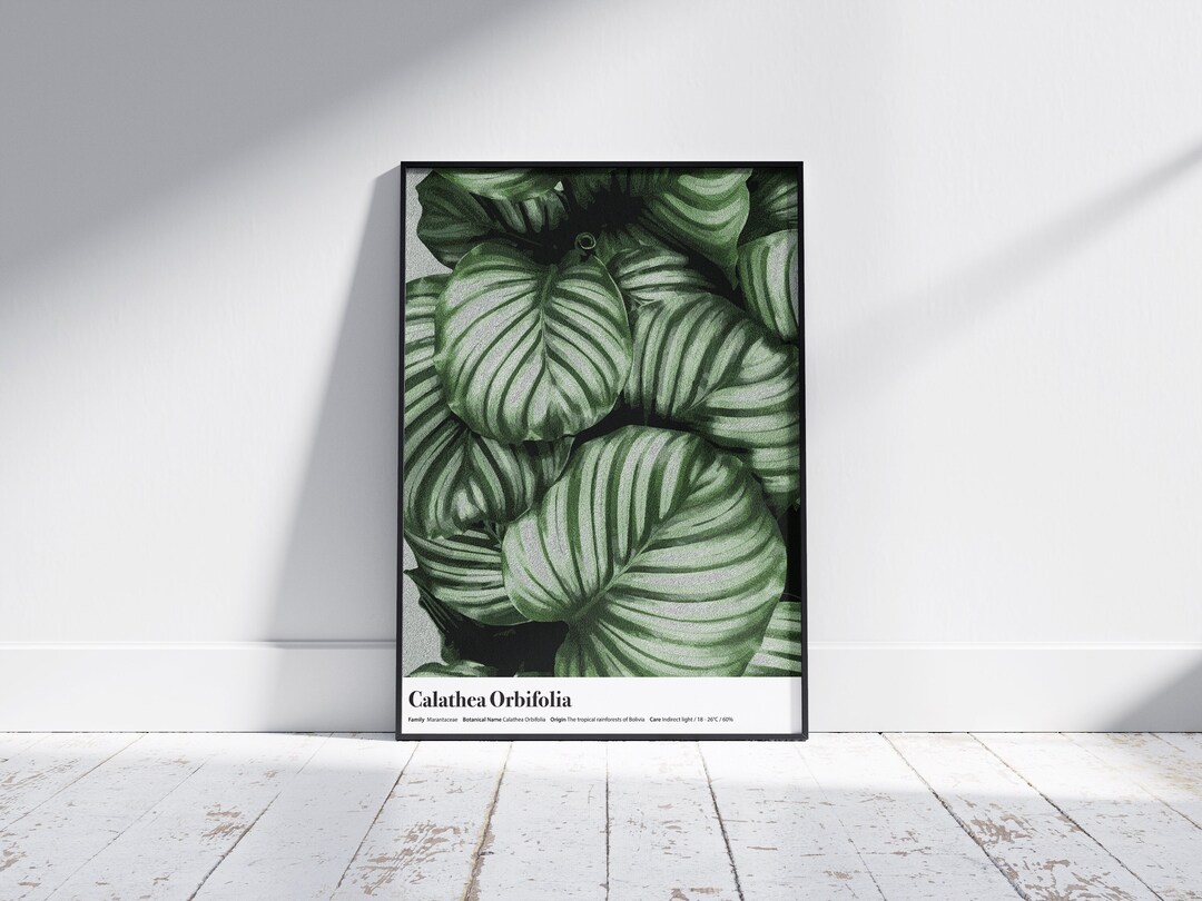 Plant Print, Botanical Poster, Houseplant Poster, Plant Wall Art, Plant ...