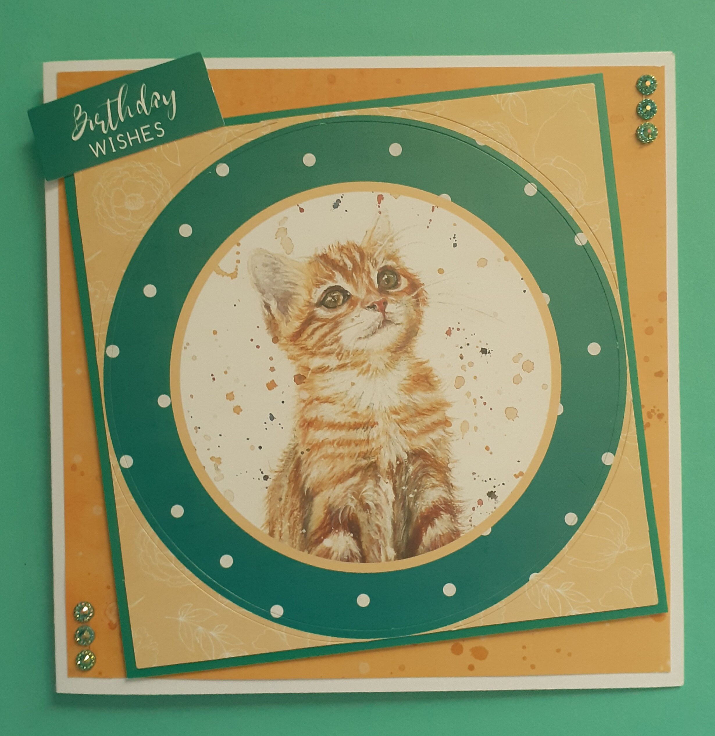 Handmade Cat Birthday Card Personalized - Etsy