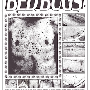 Bed Bug - Information Poster - Etsy