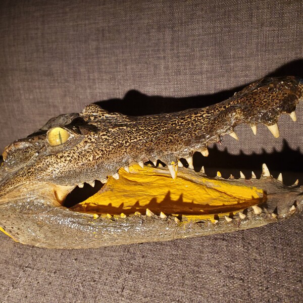 Crocodile Mask - Etsy