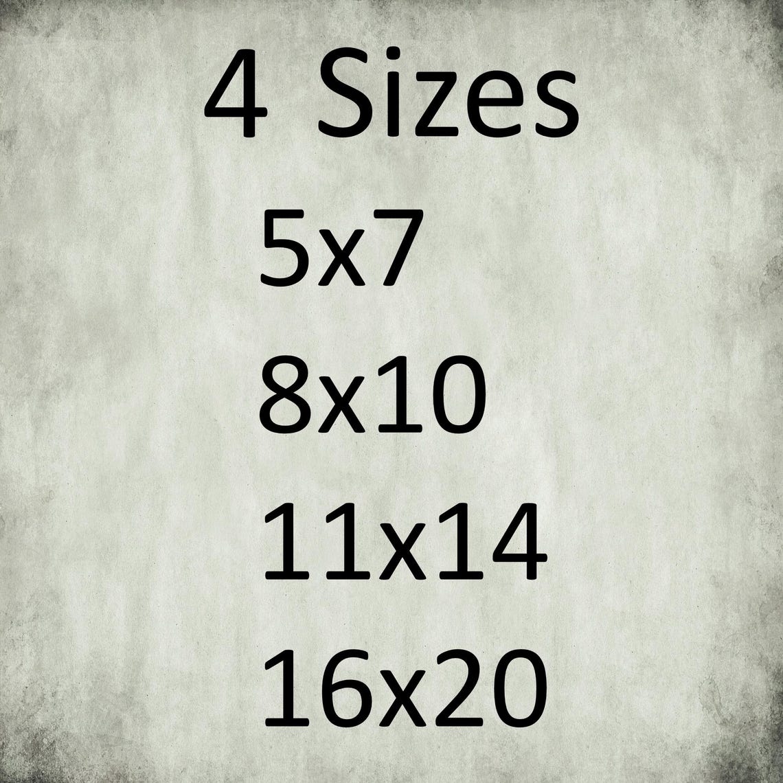 Vintage Biological Shell Illustration, Seashells Science Country Wall ...