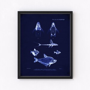 Vintage Biological Science Fish Illustration, Blueprint Sea Life Poster ...