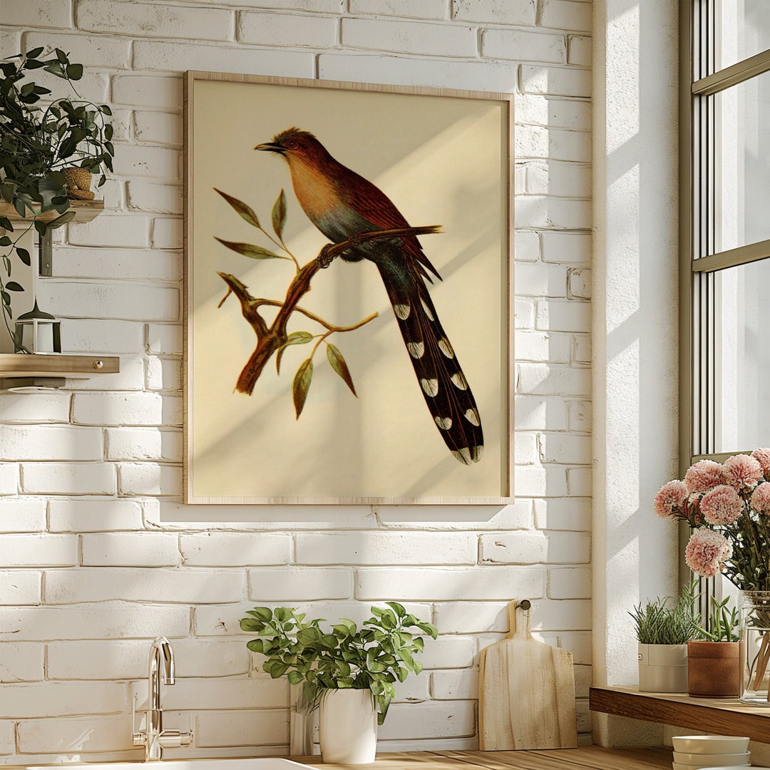 Vintage Bird Print, Bird Art, Bird Watcher Gift, Nature Illustration ...