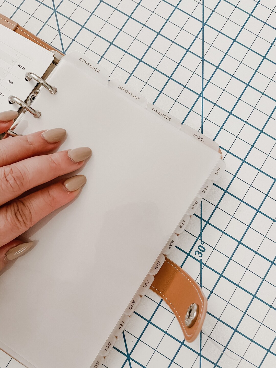 Glossy Vellum ∙ Dividers | Top/bottom Tab - Etsy