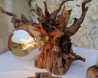 Tree Root Base Lamp - Etsy