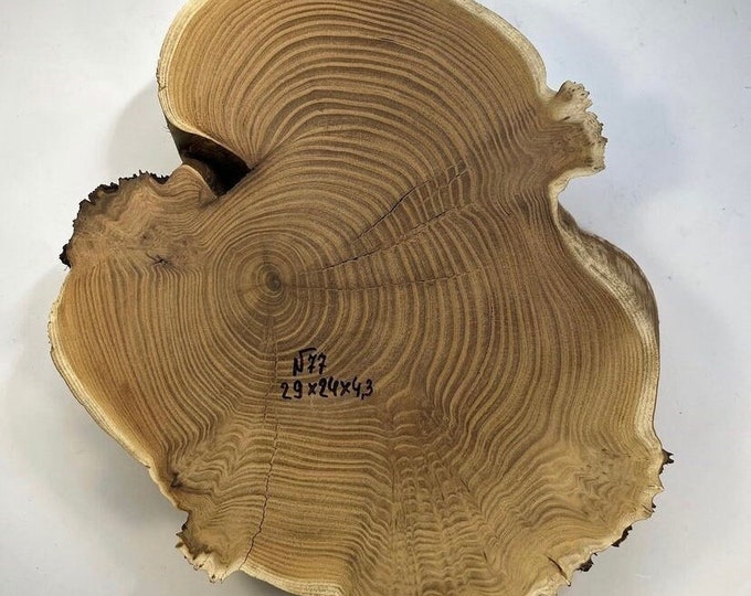 Olive Burl. Woodworking Burl. Epoxy Craft. Live Edge Wood. Burl Wood ...