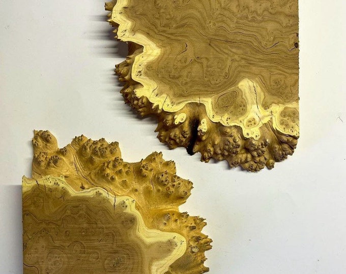 Set of Burl Wood. Burl Wood. Live Edge Wood. Dried Burl Slabs. Olive ...
