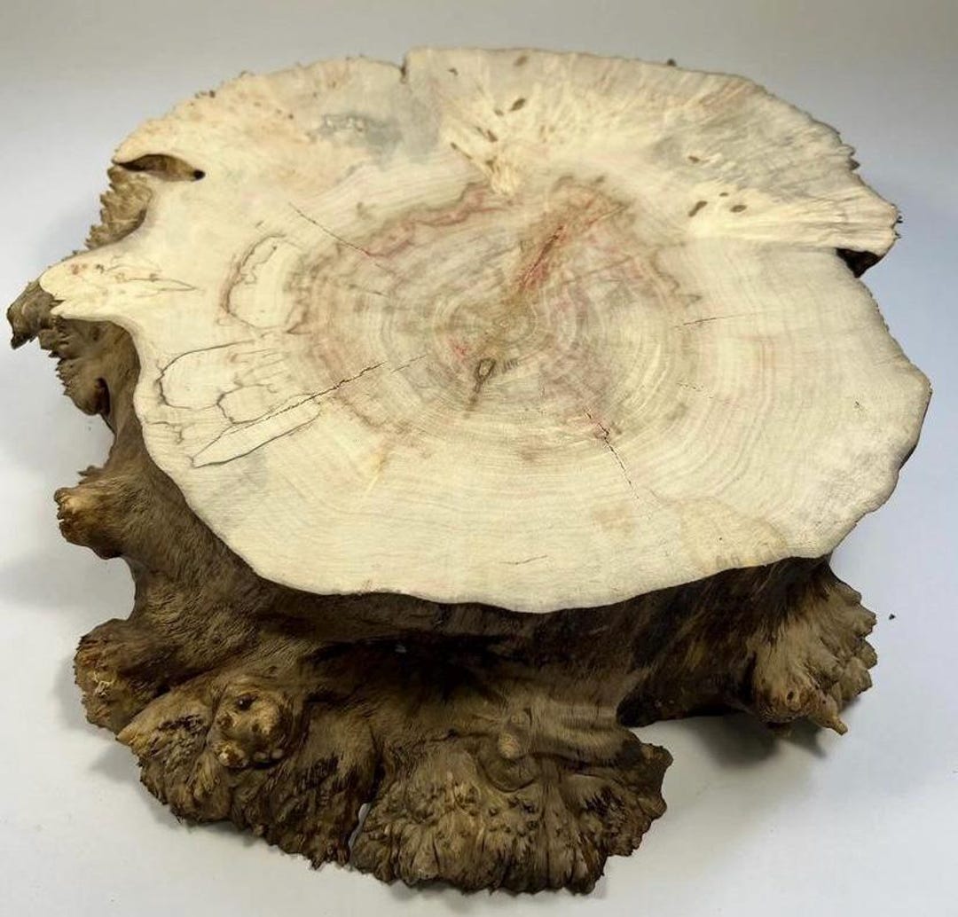Maple Burl Wood Slab: Dried Live Edge Resin Art (10.6x8.6x2.3”) - Etsy