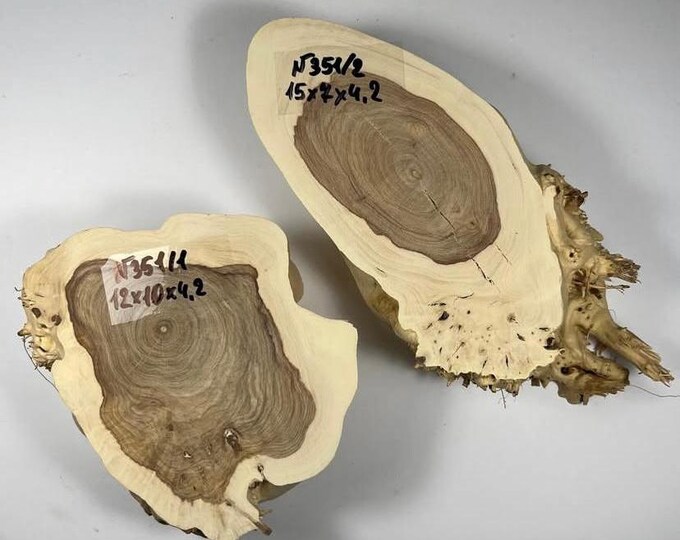 Burl Wood Slices. Epoxy Resin. Burl Wood. Live Edge Wood. Lilac Burl ...