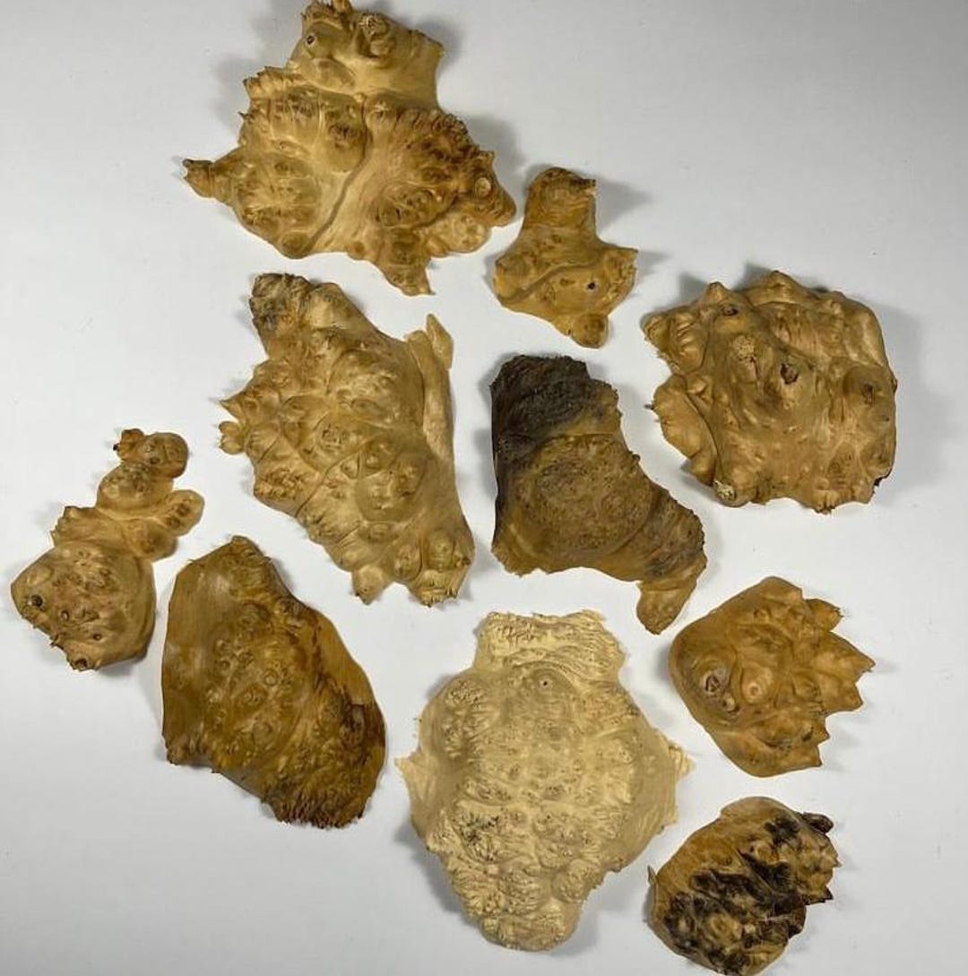 Set of Burl Wood. Burl Wood. Live Edge Wood. Burls Mix. Maple Burls ...