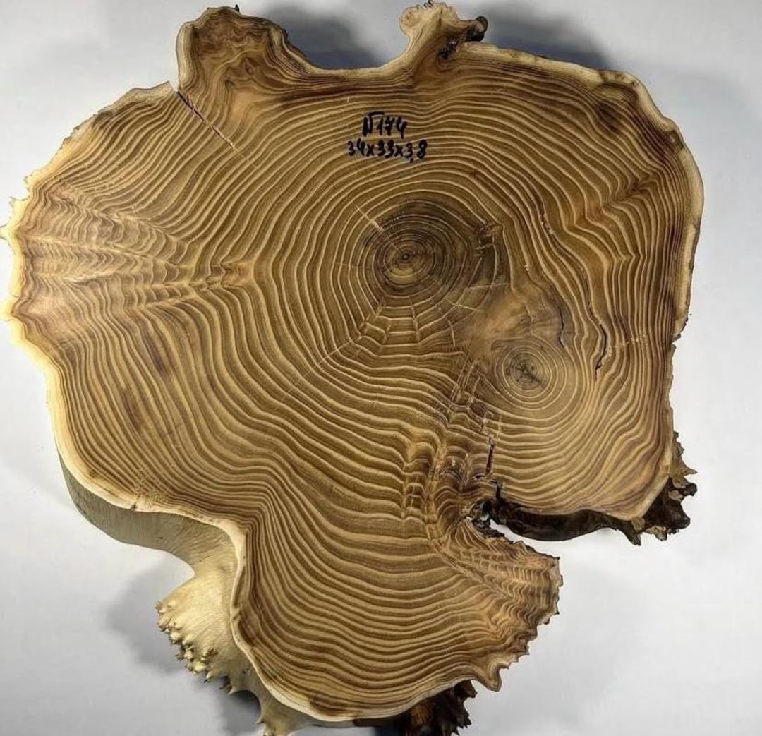 Olive Burl. Woodworking Burl. Epoxy Craft. Live Edge Wood. Burl Wood ...