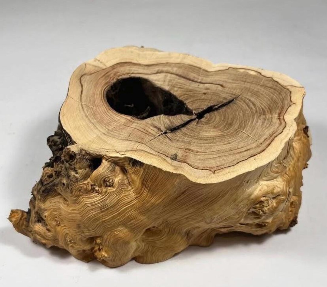 Burl Wood. Epoxy Resin. Burl Wood. Live Edge Wood. Lilac Burl Slab ...