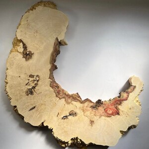 Burl Wood. 19.7”. Burl Resin Slab. Live Edge. Burl Slice. Burl Half ...