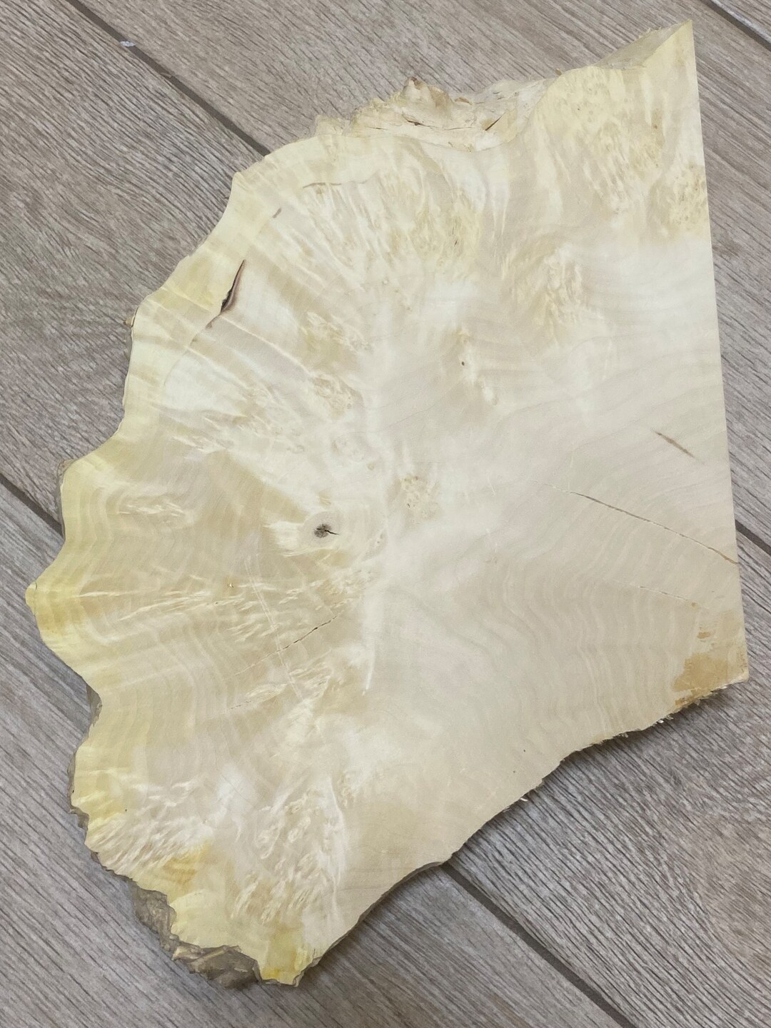 Maple Burl Wood. Big Leaf Maple Burl Resin Slab. Live Edge Wood. Burl ...