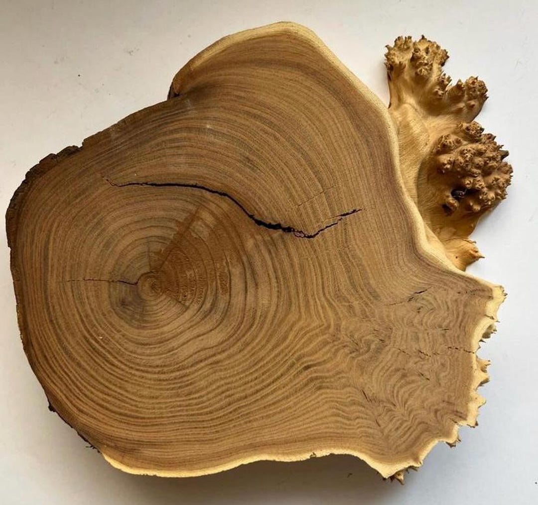 Olive Burl. Woodworking Burl. Epoxy Craft. Live Edge Wood. Burl Wood ...