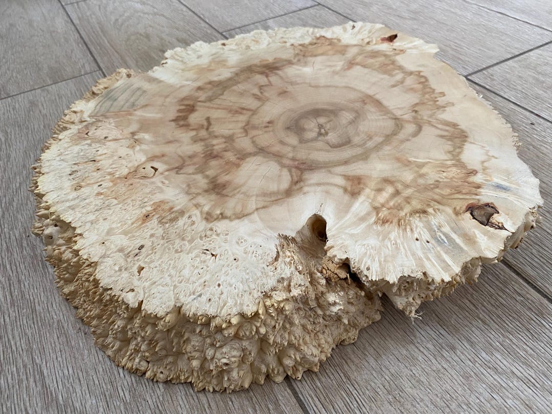 Maple Burl Wood Slab: Dried Live Edge Resin Art (15x3.7x1.6”) - Etsy