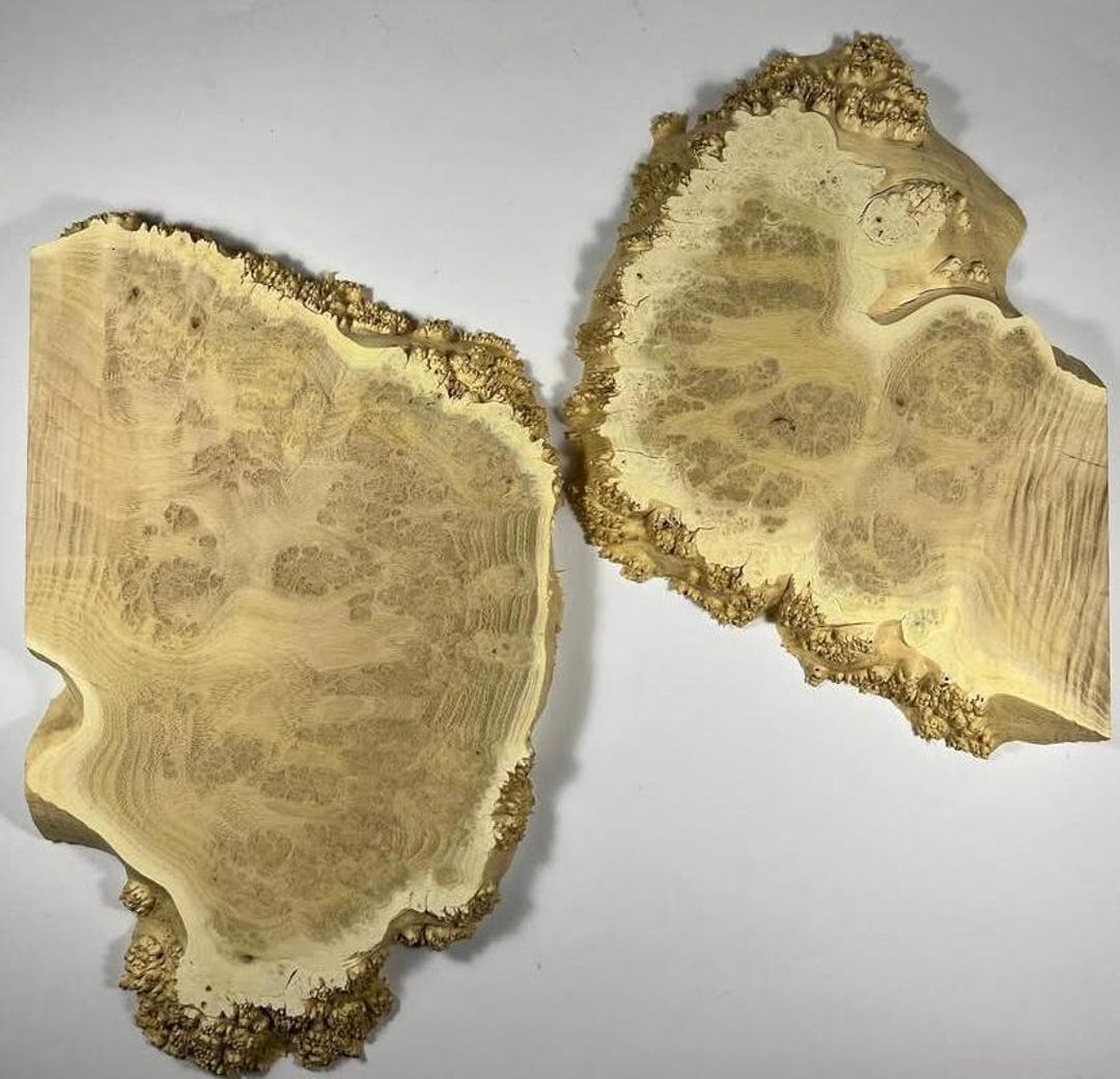 Set of Burl Wood. Burl Wood. DIY Crafts. Dried Burl Slabs. Woodworking ...