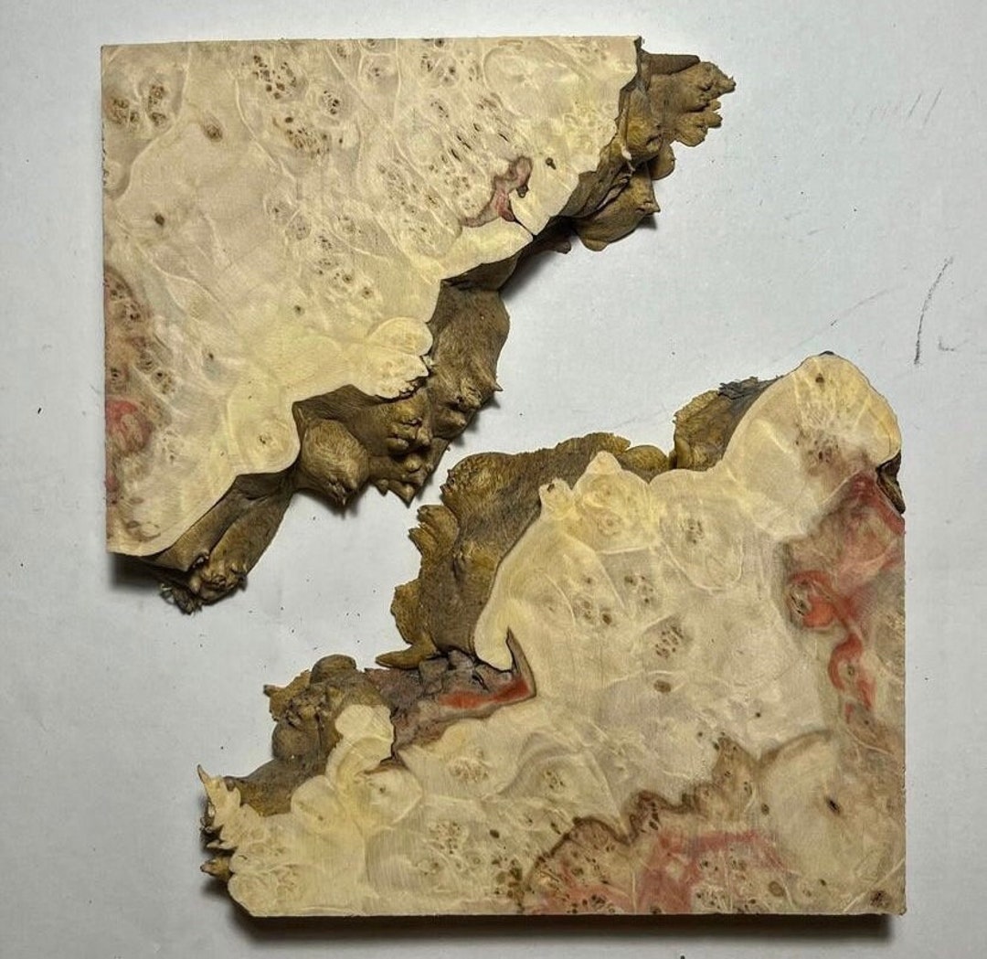 Set of Burl Wood. Burl Wood. DIY Crafts. Dried Burl Slabs. - Etsy