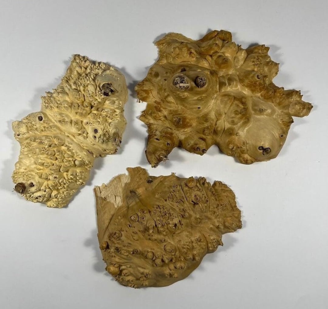 Set of Burl Wood. Burl Wood. Live Edge Wood. Burls Mix. Maple Burls. Epoxy Art. Burl Wood. Resin ...