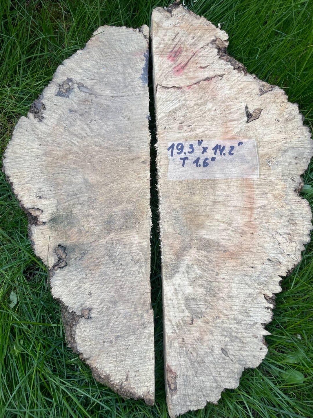 Set of Burl Wood. Burl Wood. Live Edge Wood. Dried Burl Slabs. Big ...